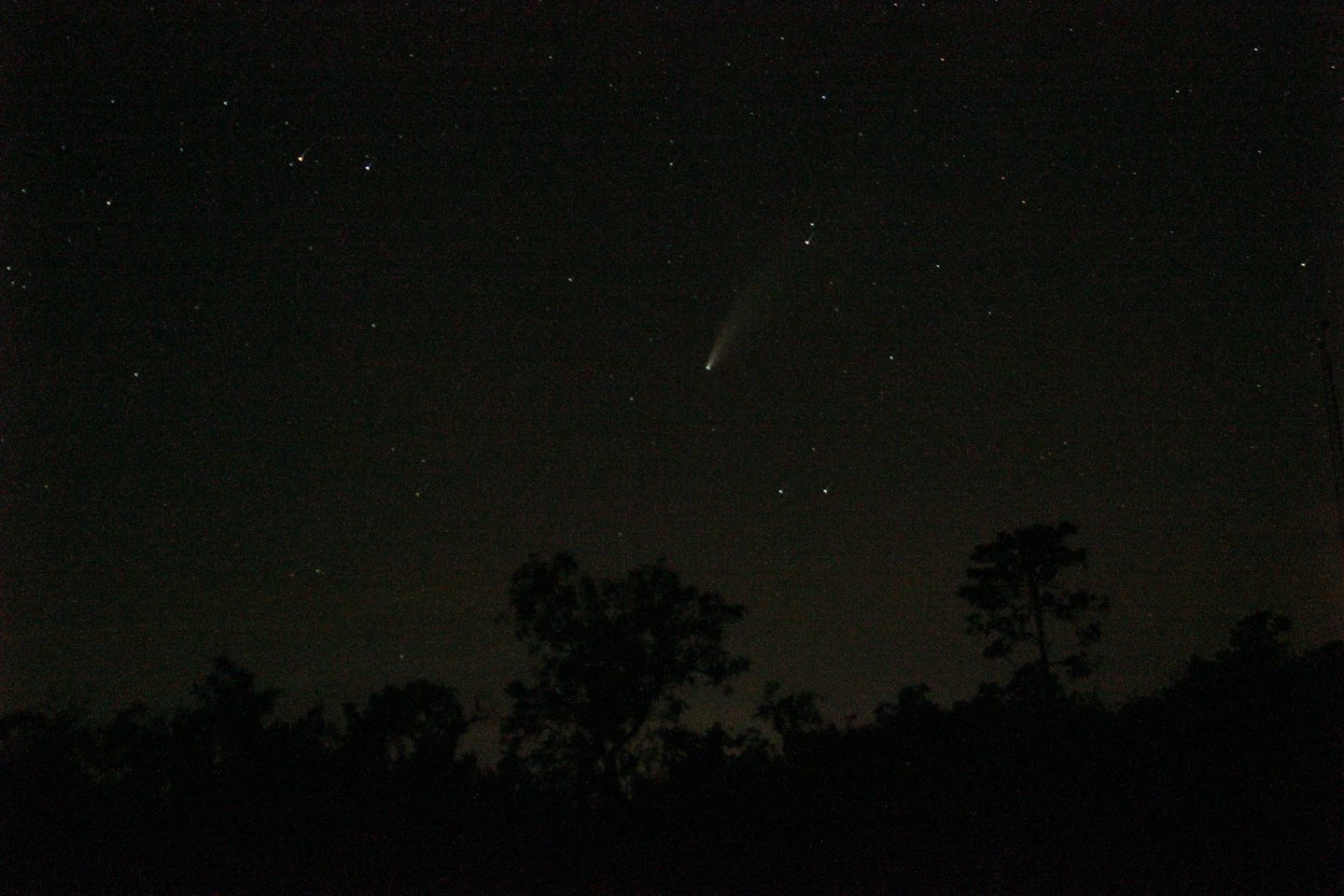 Comet NEOWISE seen from Rosemary Hill Observatory - Astronomy